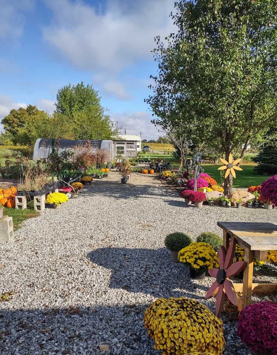 Our Story – Petals and Metal Flower Farm